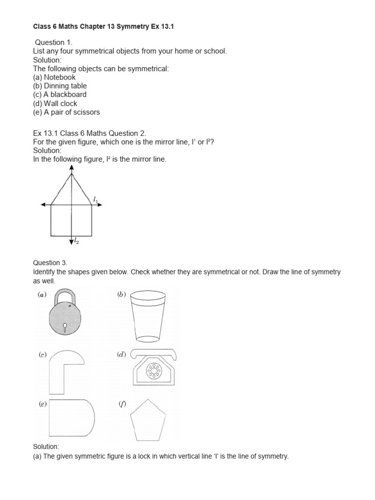 Class 6 Maths Chapter 13 Symmetry Ex 13.1 | PDF