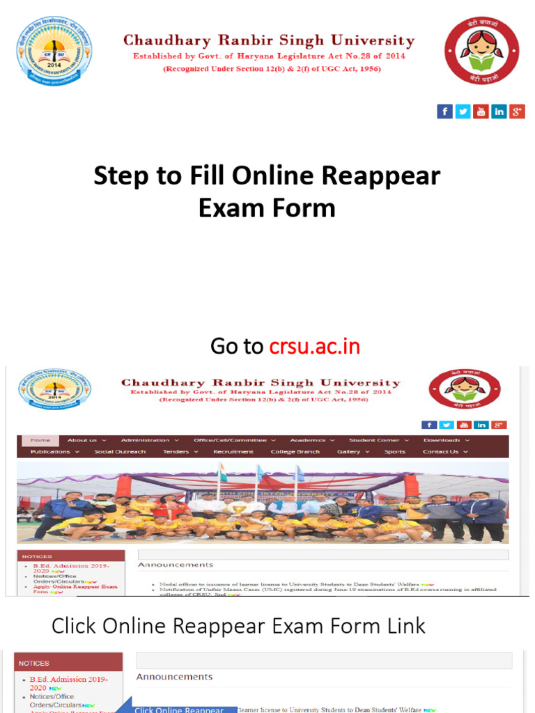 How To Process Fill Online Reappear Exam Form by Students Level | PDF ...