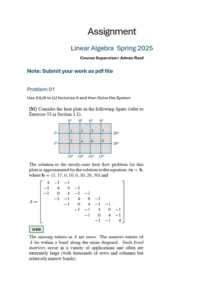 Assignment LinearAlgebra Spring 2025 | PDF