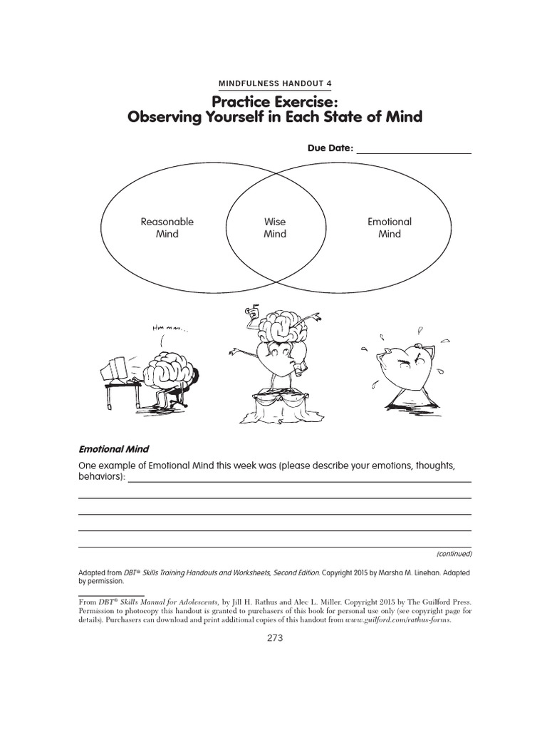 Observing DBT States of Mind | PDF