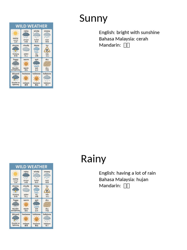 Wild Weather Vocab Slides | PDF