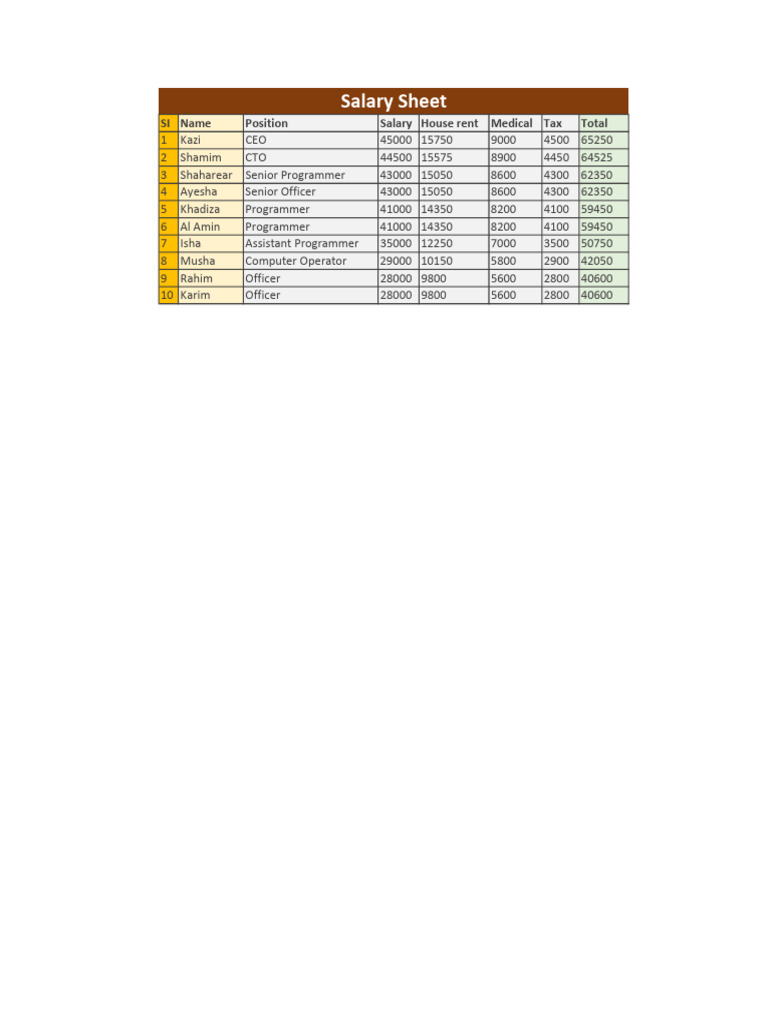 Monthly Salary Sheet Overview | PDF