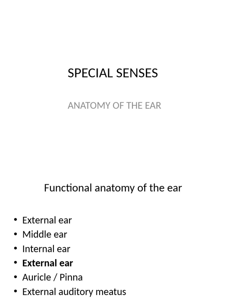 Special Senses Lecture 1 | PDF | Ear | Auditory System