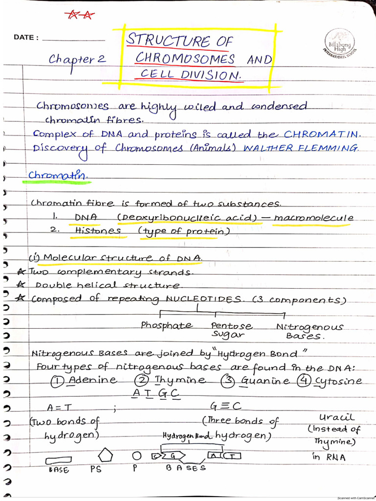 01.biology Ch.2 Structure of Chromosomes and Cell Cycle. | PDF