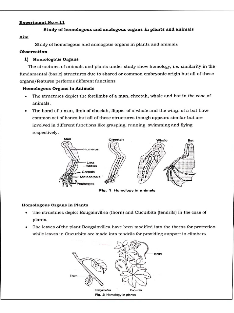 Spotting 8 - Study of Homologous and Anologous Organs | PDF