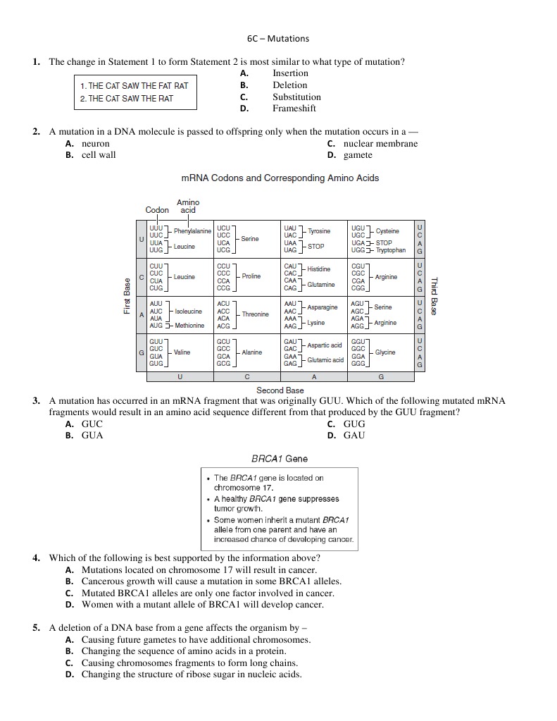 Understanding DNA Mutations and Effects | PDF