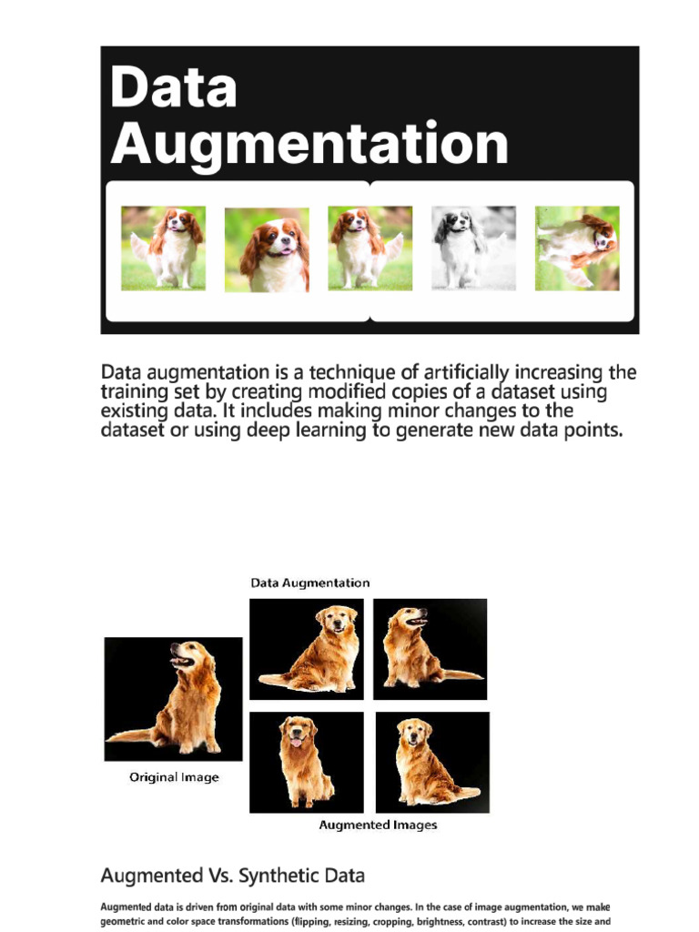 Data Augmentation | PDF