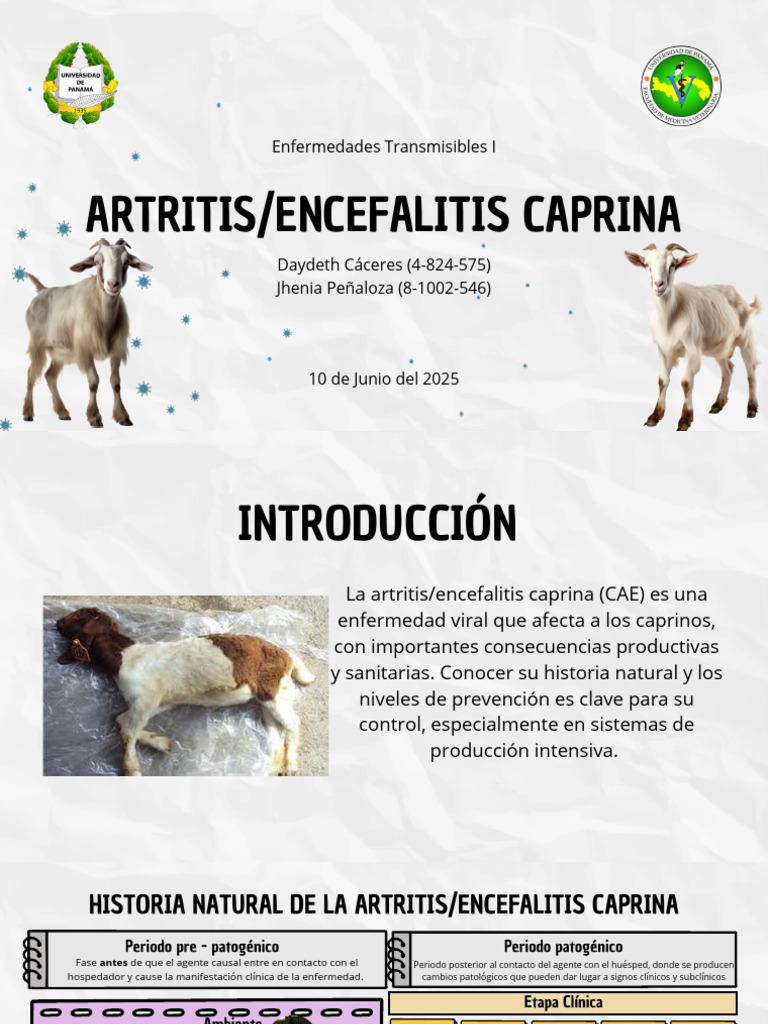 Artritis/encefalitis caprina: Control y Prevención | PDF | Sistema ...