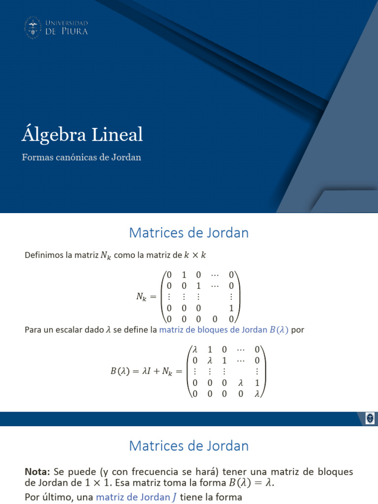 Formas Canónicas de Jordan - Formas Cuadráticas | PDF | Valores propios ...