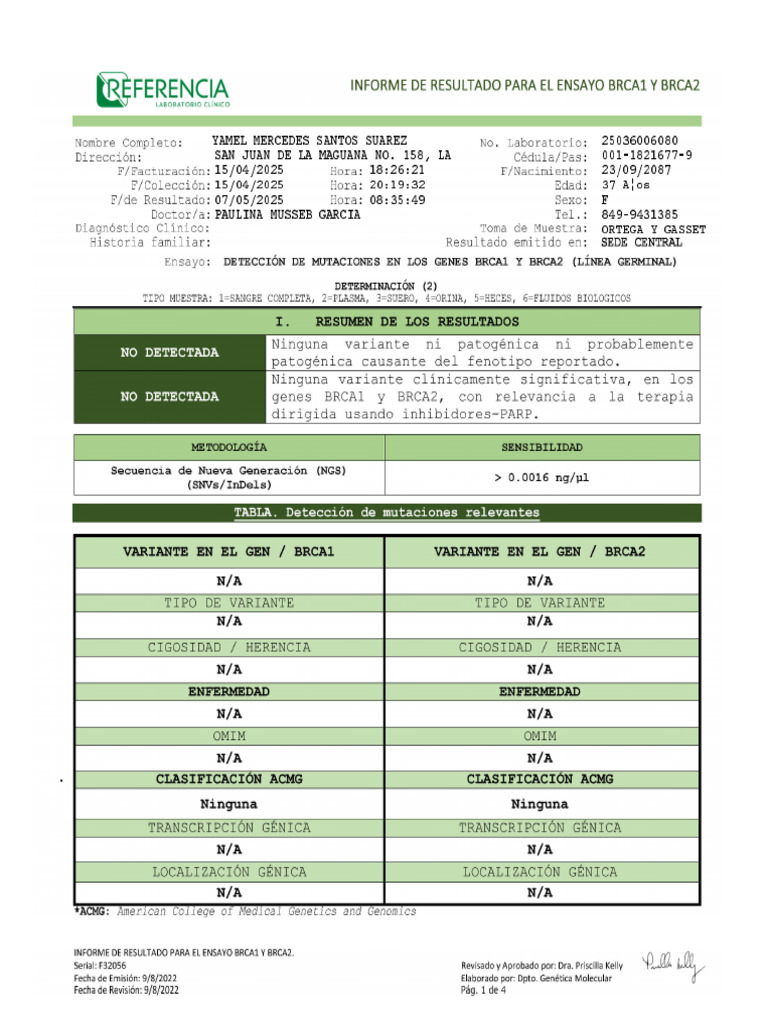 Braca 1 y Braca 2 | PDF