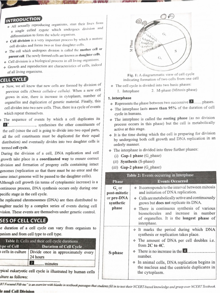 Scanned 20250621-2151 | PDF