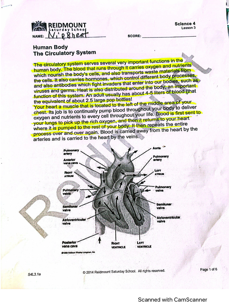 Science Lesson 3 | PDF