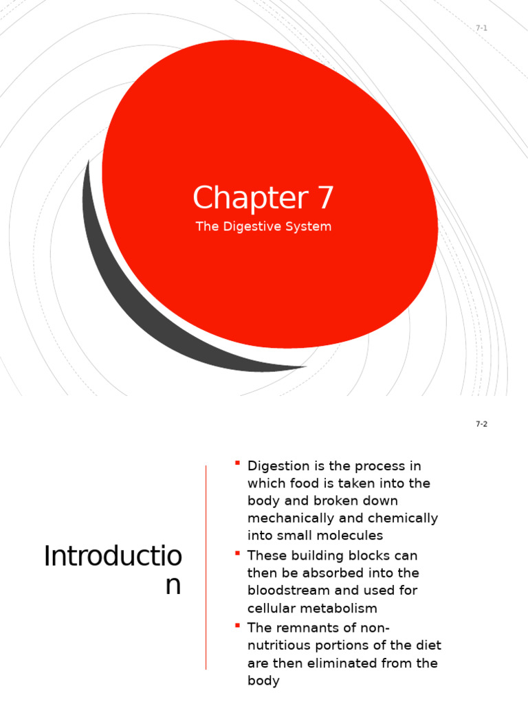 Digestive System Powerpoint | PDF | Digestion | Stomach