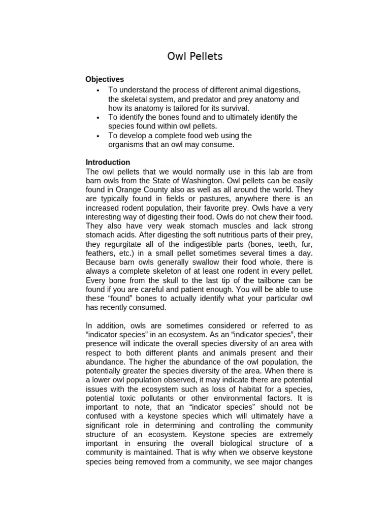 Owl Pellet Lab Manual ACC | PDF | Owl | Digestion
