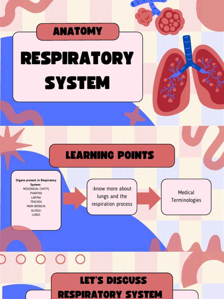 Respiratory System Biology Presentation in A Blue Pink Bold Style | PDF ...