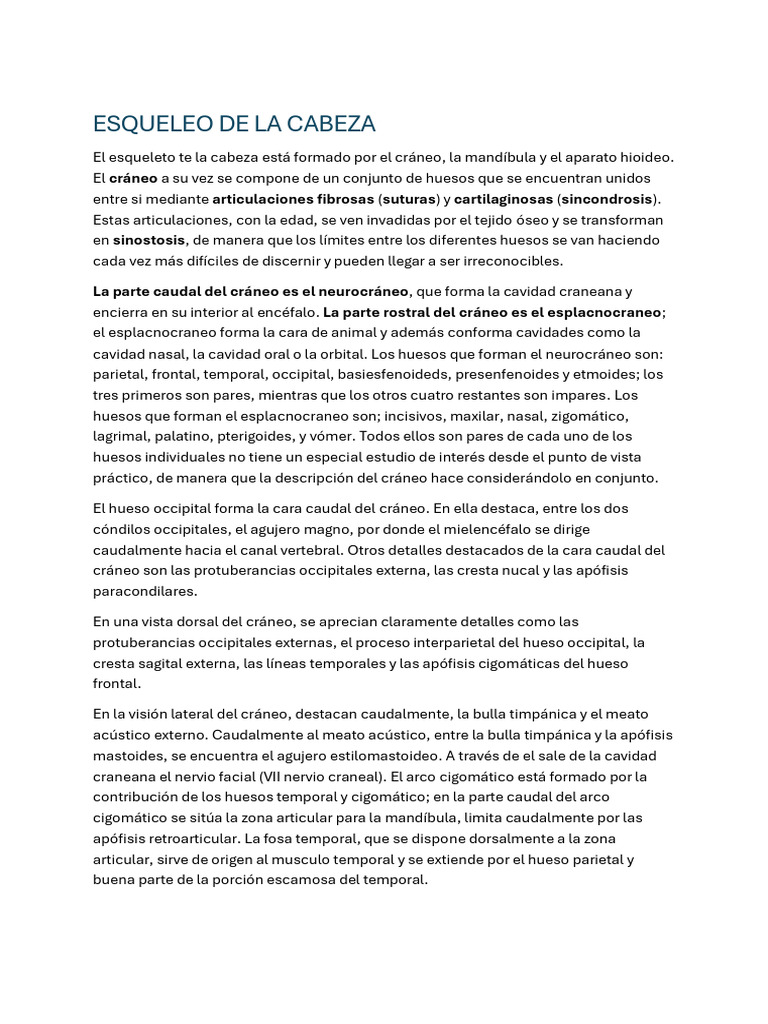 Huesos de La Cabeza J Mandibula y Hioideo | PDF | Cráneo | Cabeza y ...