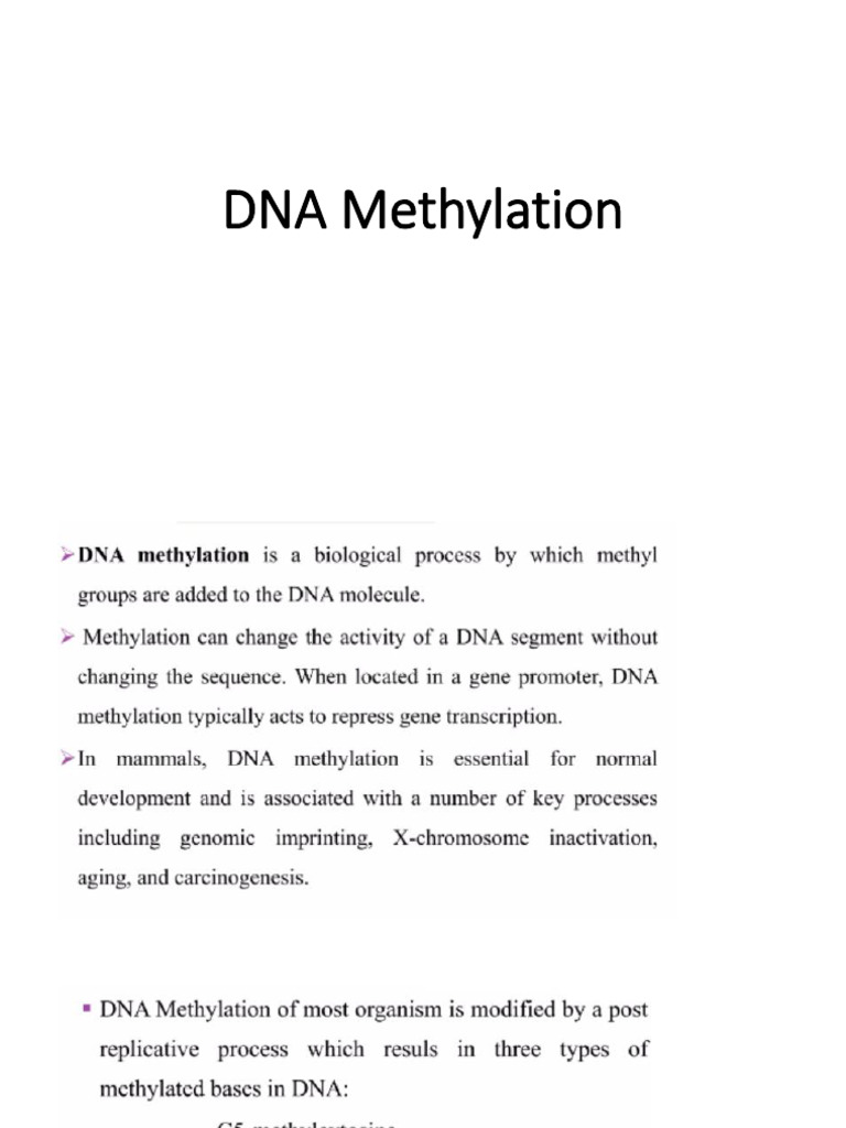 DNA Methylation | PDF