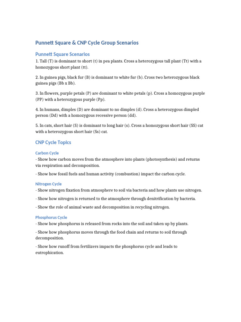 Punnett Square and CNP Cycle Scenarios | PDF