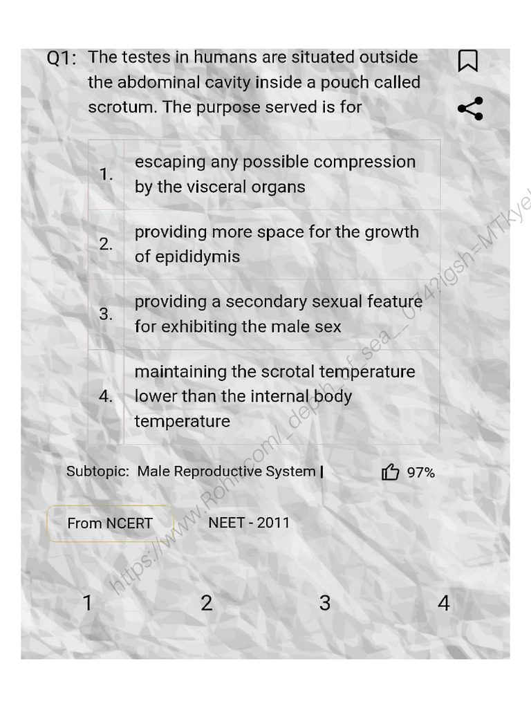 Male Reproductive System Neet Hunted ? | PDF