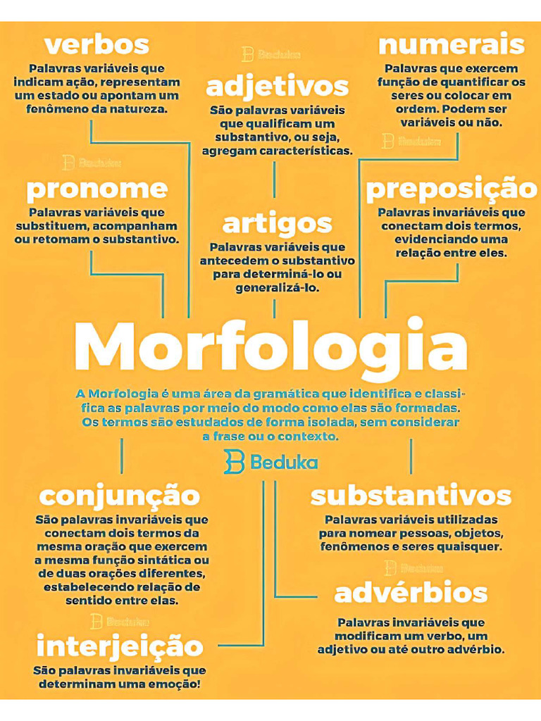 Morfo 9 | PDF
