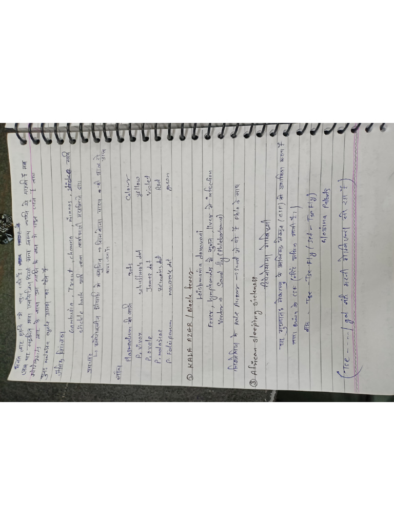 Health and Diseases Notes | PDF