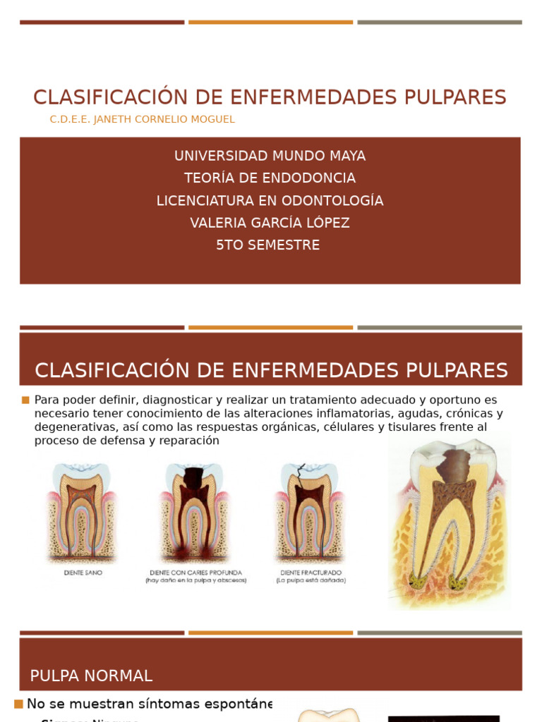 Clasificación de Las Enfermedades Pulpares 2 | PDF | Medicina ...