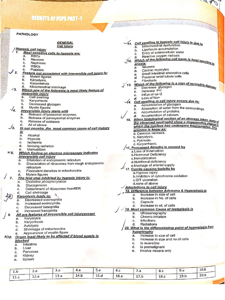 Gen Patho Mcqs (Rabia Ali) | PDF