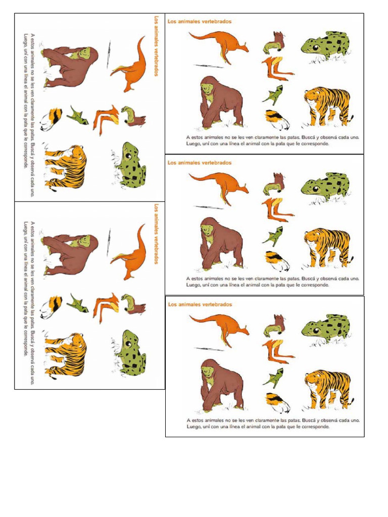 Animales y Sus Patas | PDF
