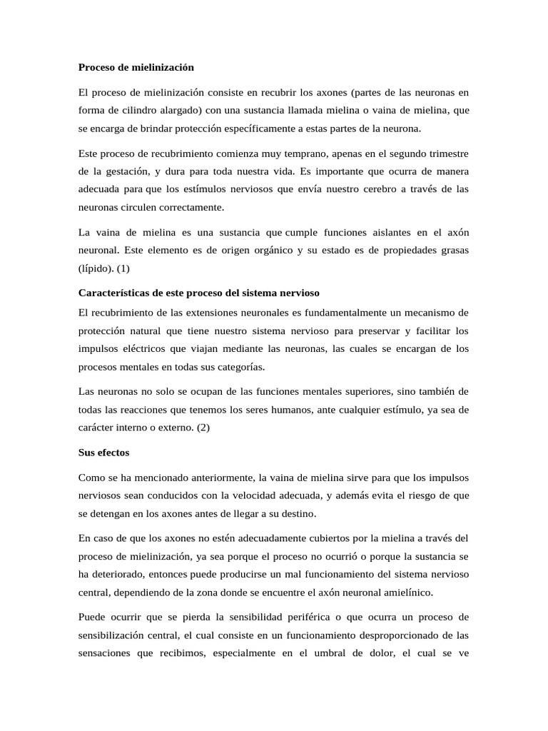 Proceso de Mielinización | PDF | Mielina | Neurona