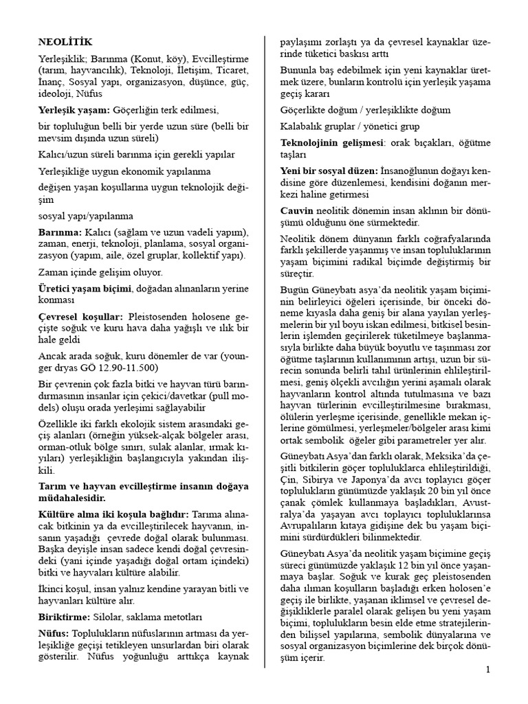 Neolitik | PDF