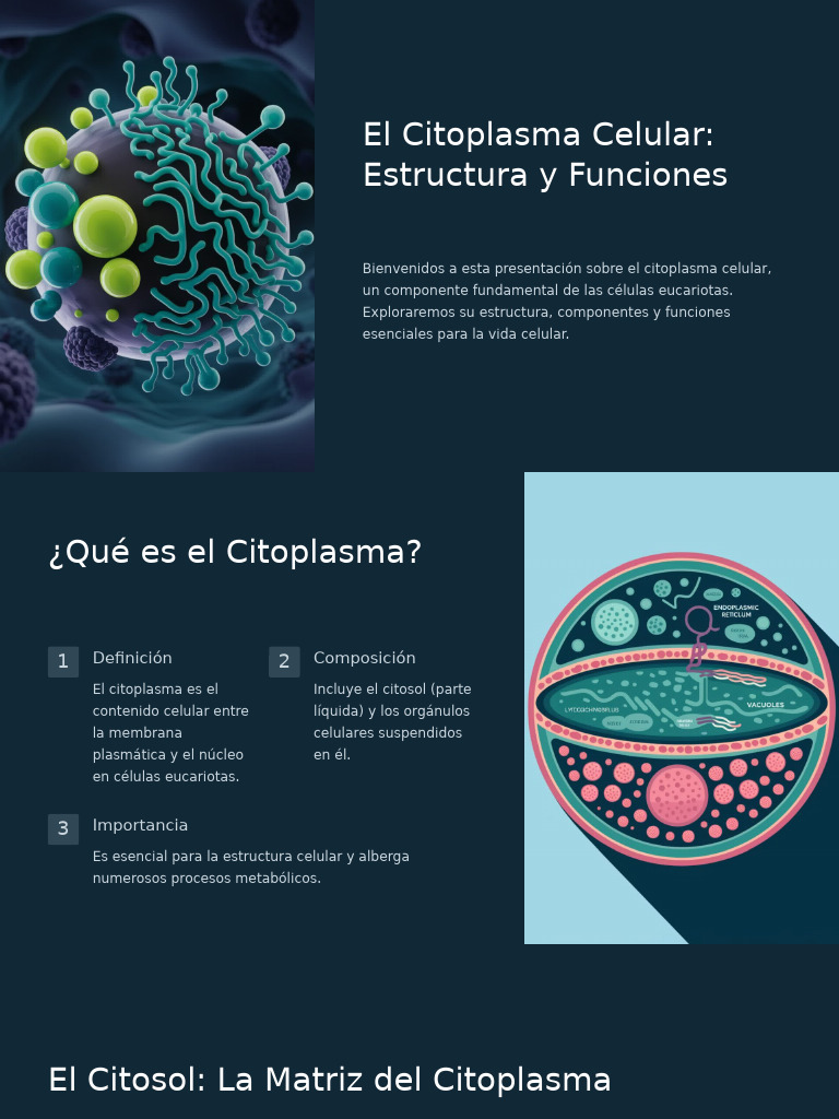 TEMA3 El-Citoplasma-Celular-Estructura-y-Funciones | PDF | Citoplasma ...