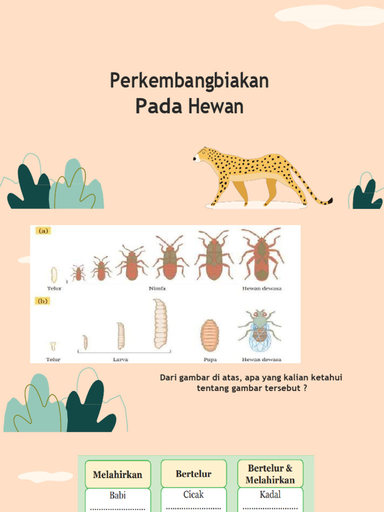 Materi Perkembang Biakan Pada Hewan | PDF