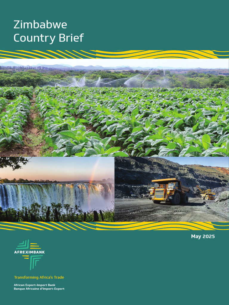 Zimbabwe Country Brief 2025 1 | PDF | Zimbabwe | External Debt