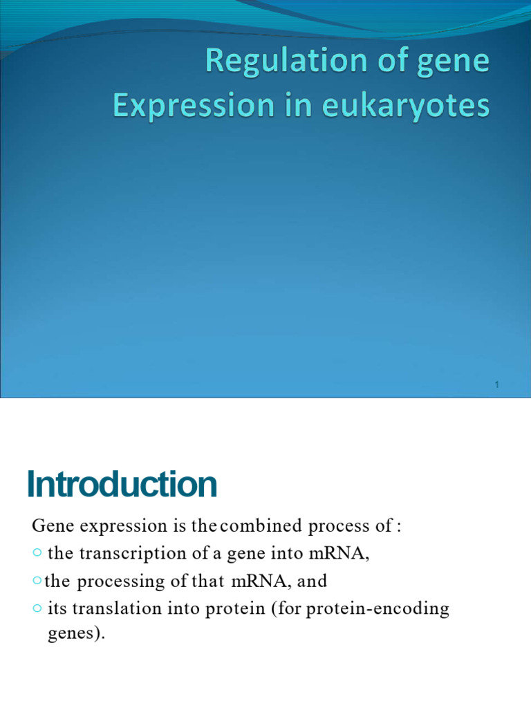 Gene Expression Regulation Overview | PDF | Gene | Gene Expression