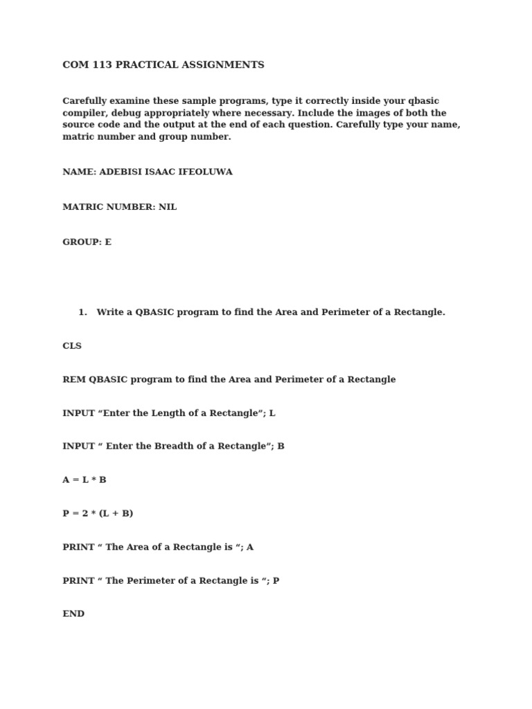 Com 113 Practical Assignments - 034530 | PDF