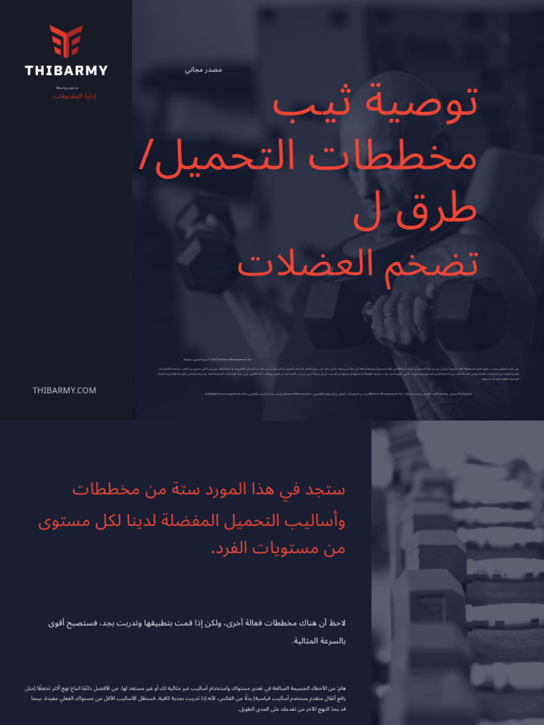 Thib's Recommend Loading Schemes | PDF