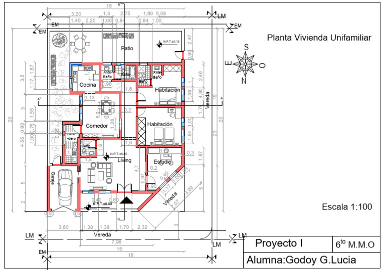 Planta Verdadera | PDF