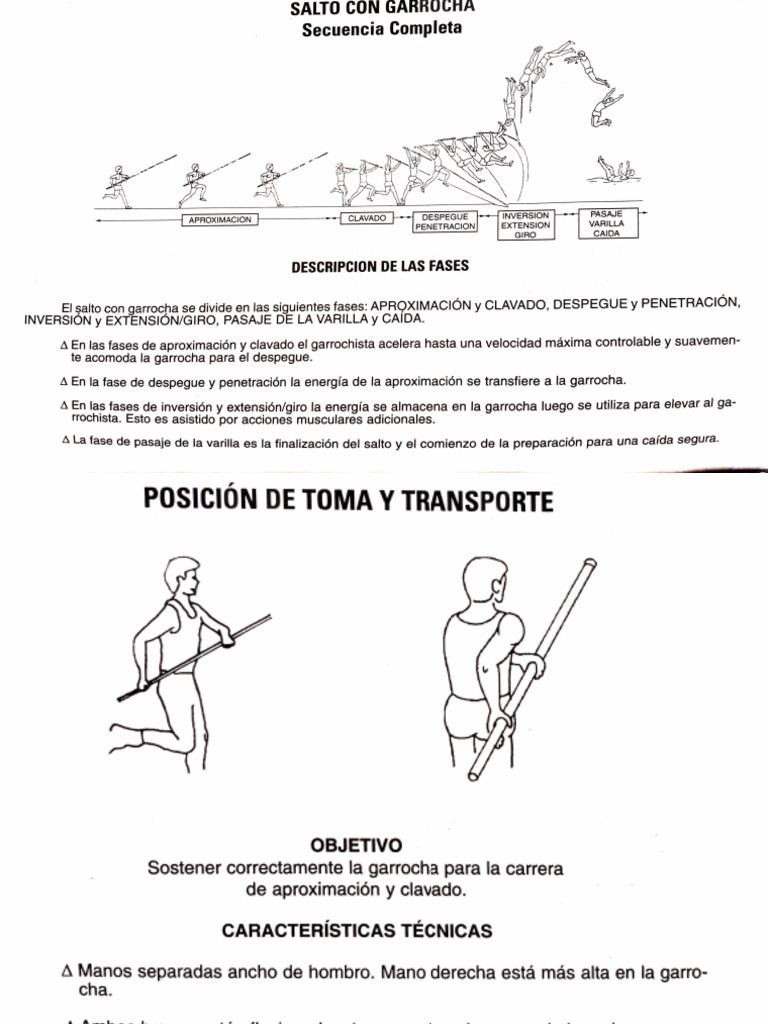 Fases del Salto con Garrocha | PDF | Codo | Quitarse