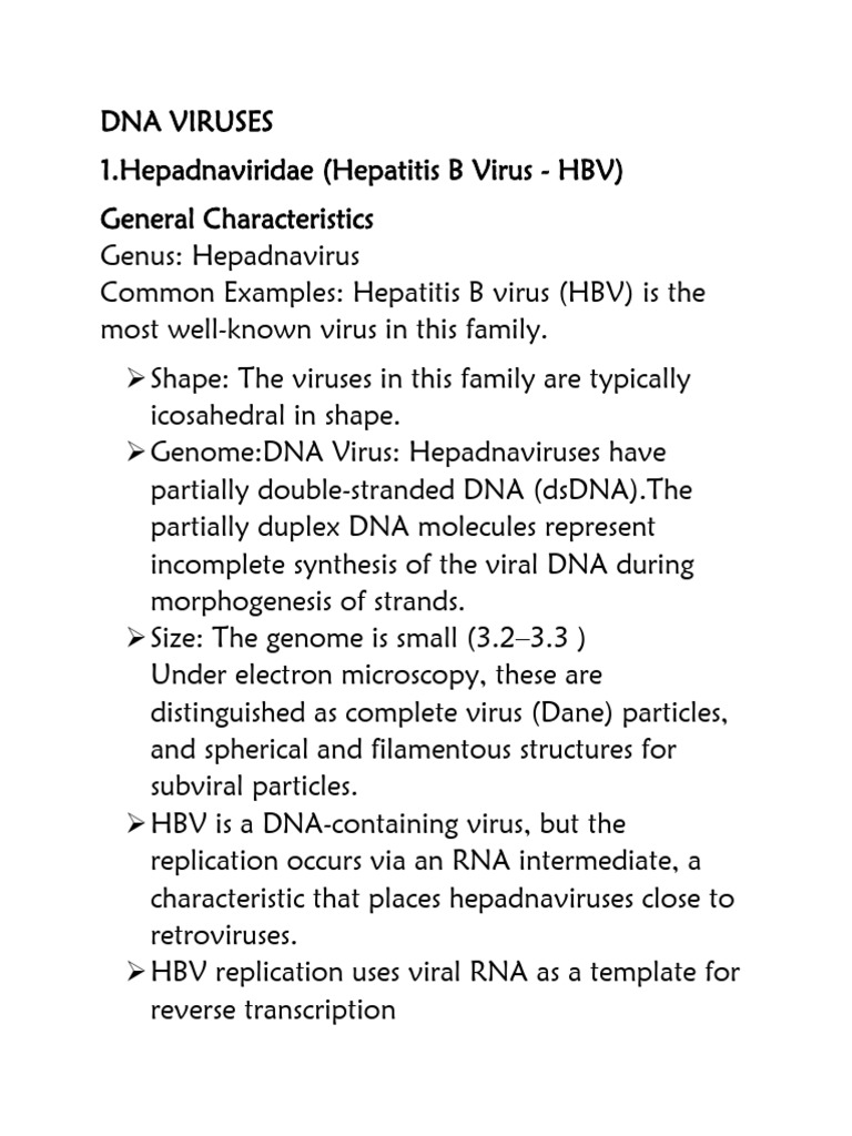Lec Two DNA VIRUSES, Hepdna Viridae | PDF | Hepatitis B | Virus