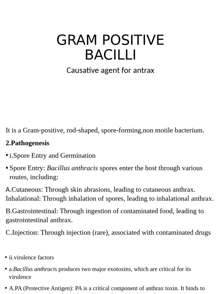 Gram Positive Bacilli Lecture Pdf Anthrax Botulinum Toxin 8061