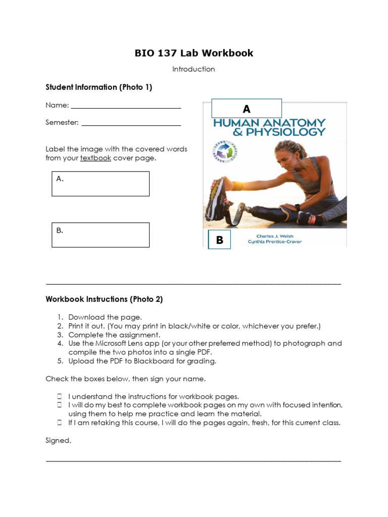 BIO 137 Lab Workbook Introduction | PDF