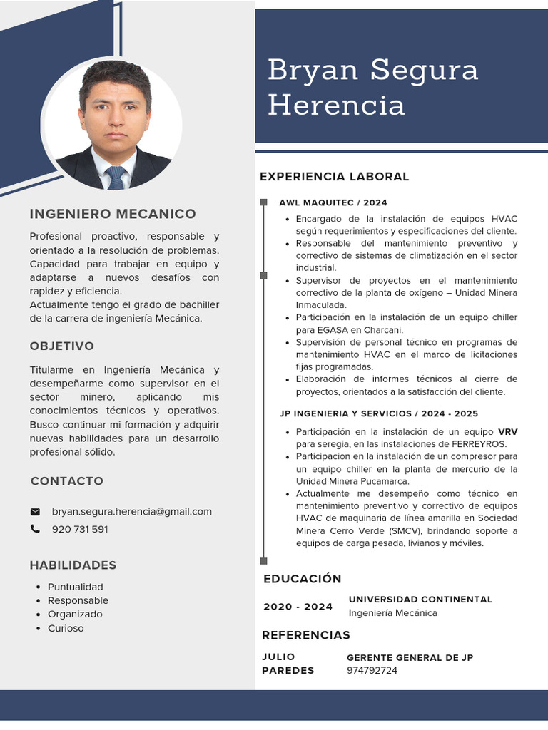 CV - Bryan Segura Herencia | PDF | Ingeniería