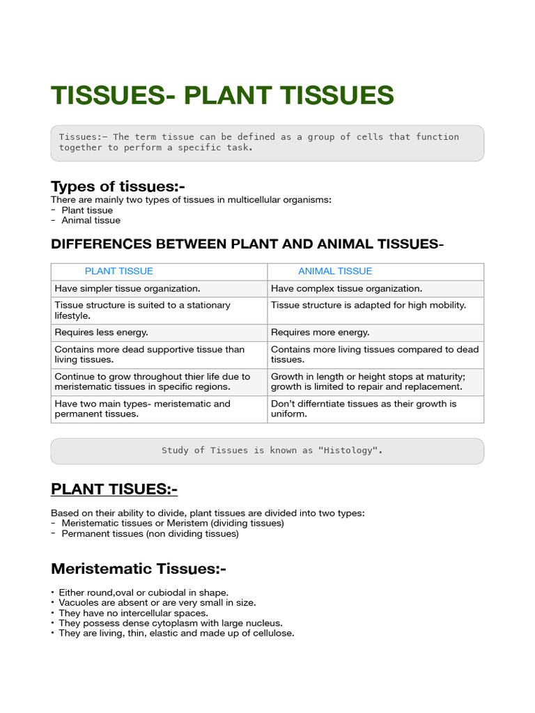 Tissues - Plant Tissues | PDF | Tissue (Biology) | Plant Morphology
