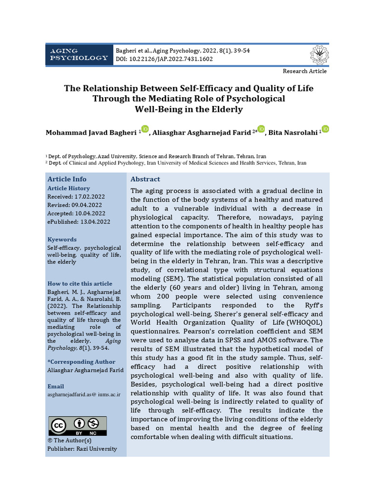 The Relationship Between Self Efficacy A | PDF