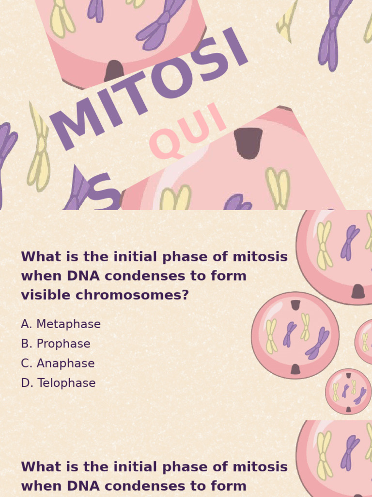 Mitosis Quiz Educational Presentation in Pink Tan Purple Fun Handdrawn ...
