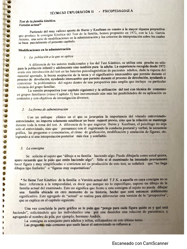 Arzeno G.-Test Familia Kinética | PDF