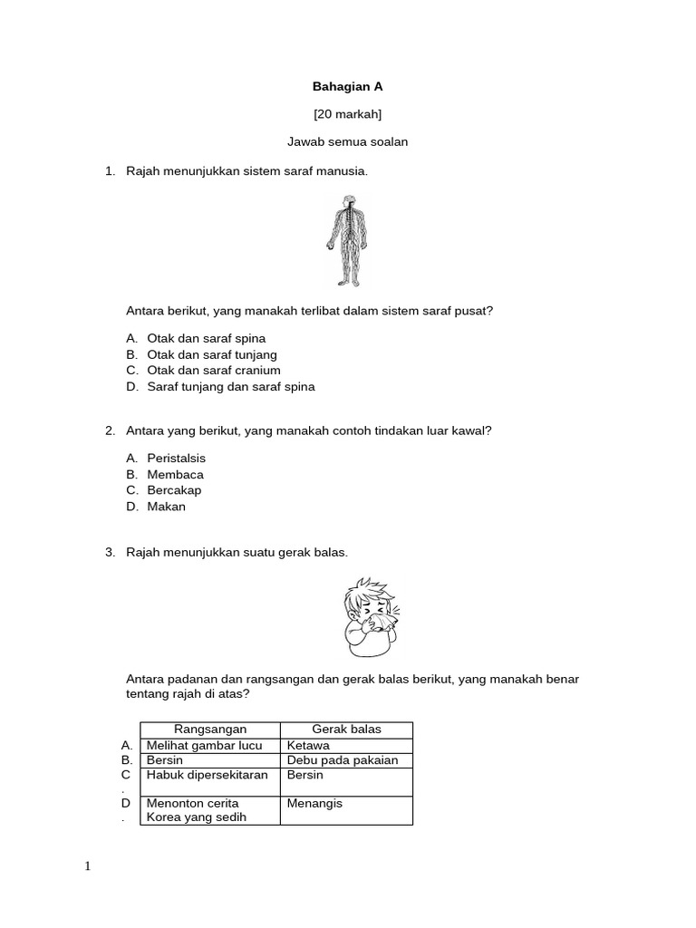 UPSA SAINS T3 Bahagian A 2025 | PDF