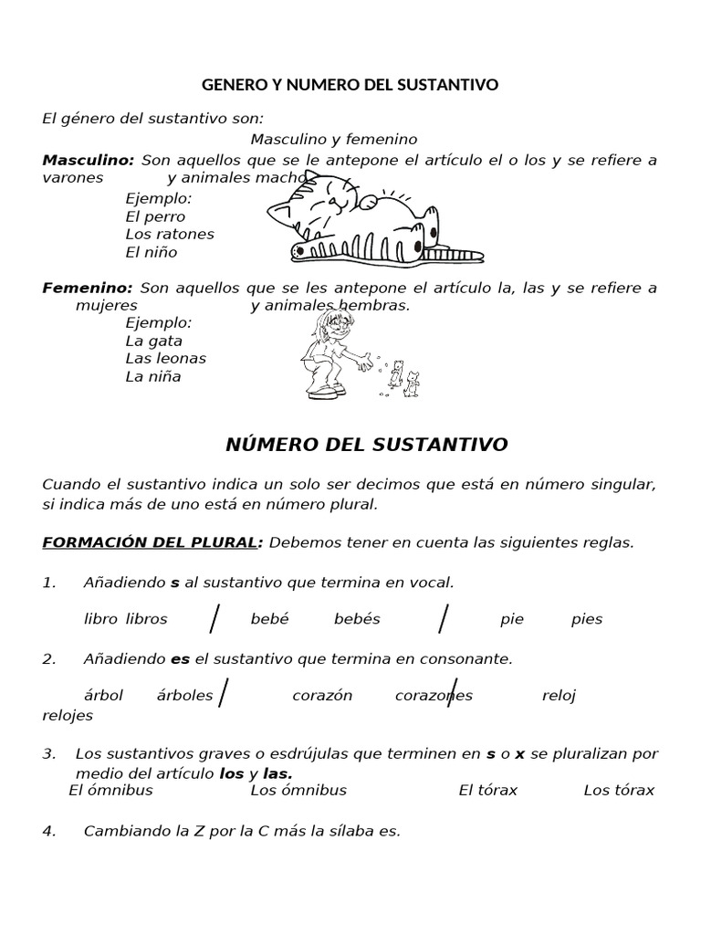 Genero y Numero en El Sustantivo para Segundo de Primaria | PDF ...