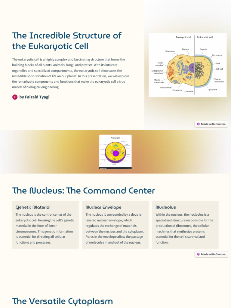 The Incredible Structure of The Eukaryotic Cell | PDF | Endoplasmic ...