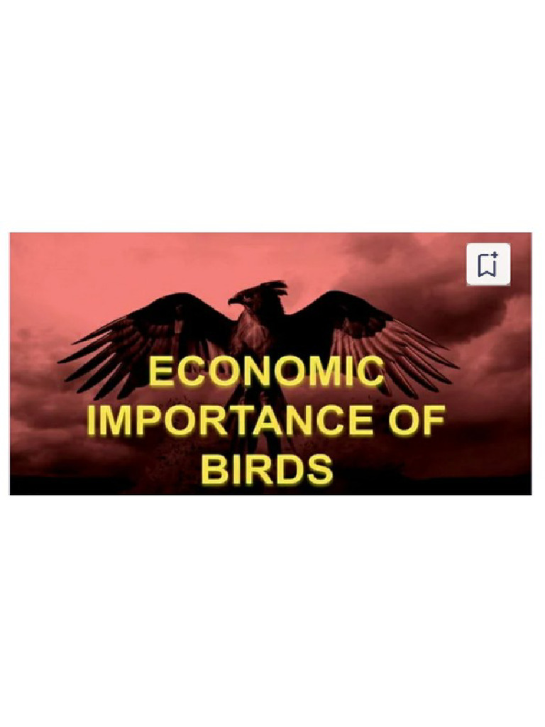 Group 8 Economic Importance of Animals | PDF